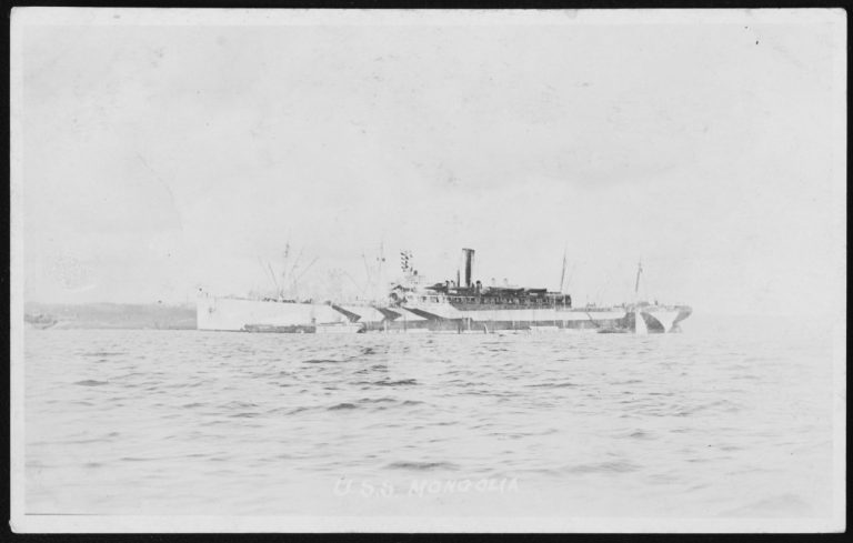 WWI in the Passenger Lists of the U.S. Army Transport Service (Part II ...